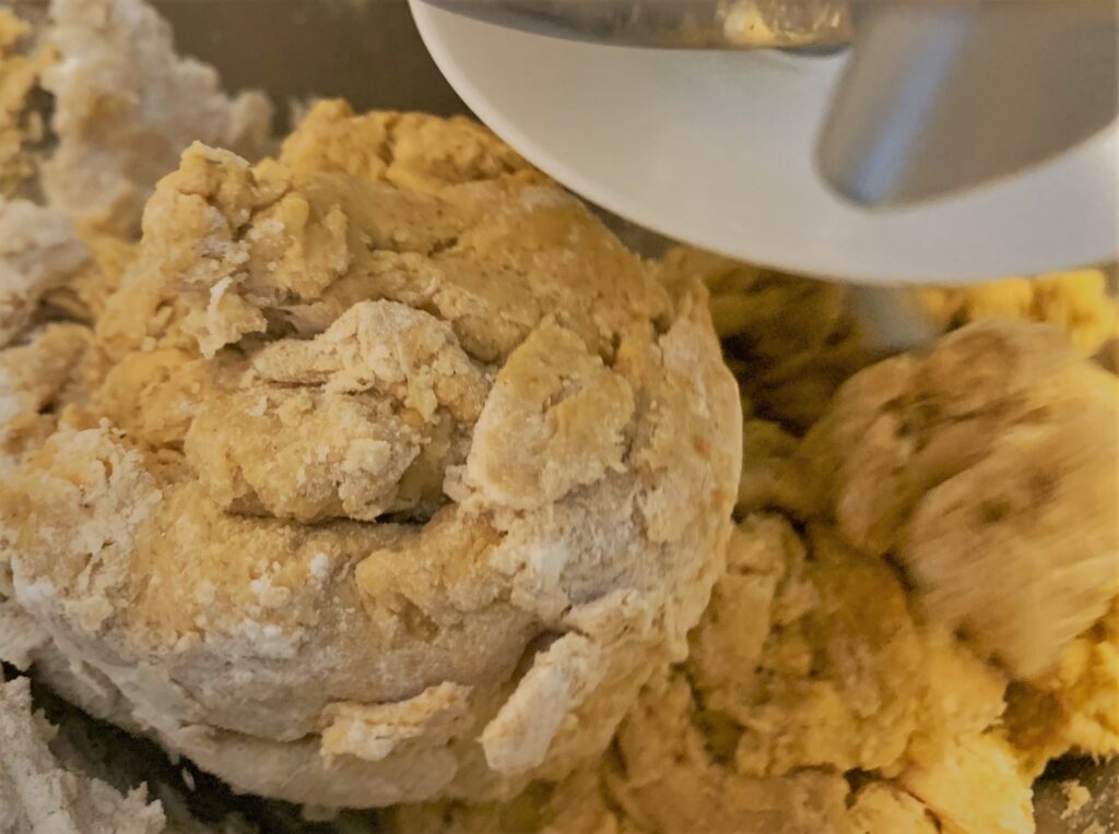 Pumpkin Beignets from Café Orleans - Disney Dishes Blog